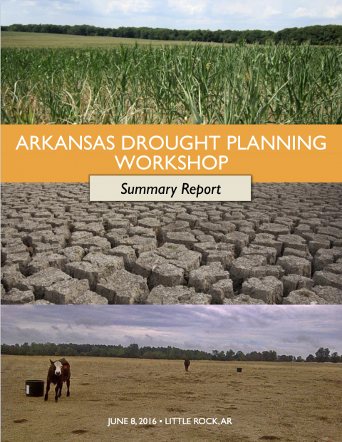 Arkansas Drought Planning Workshop: Summary Report - SCIPP