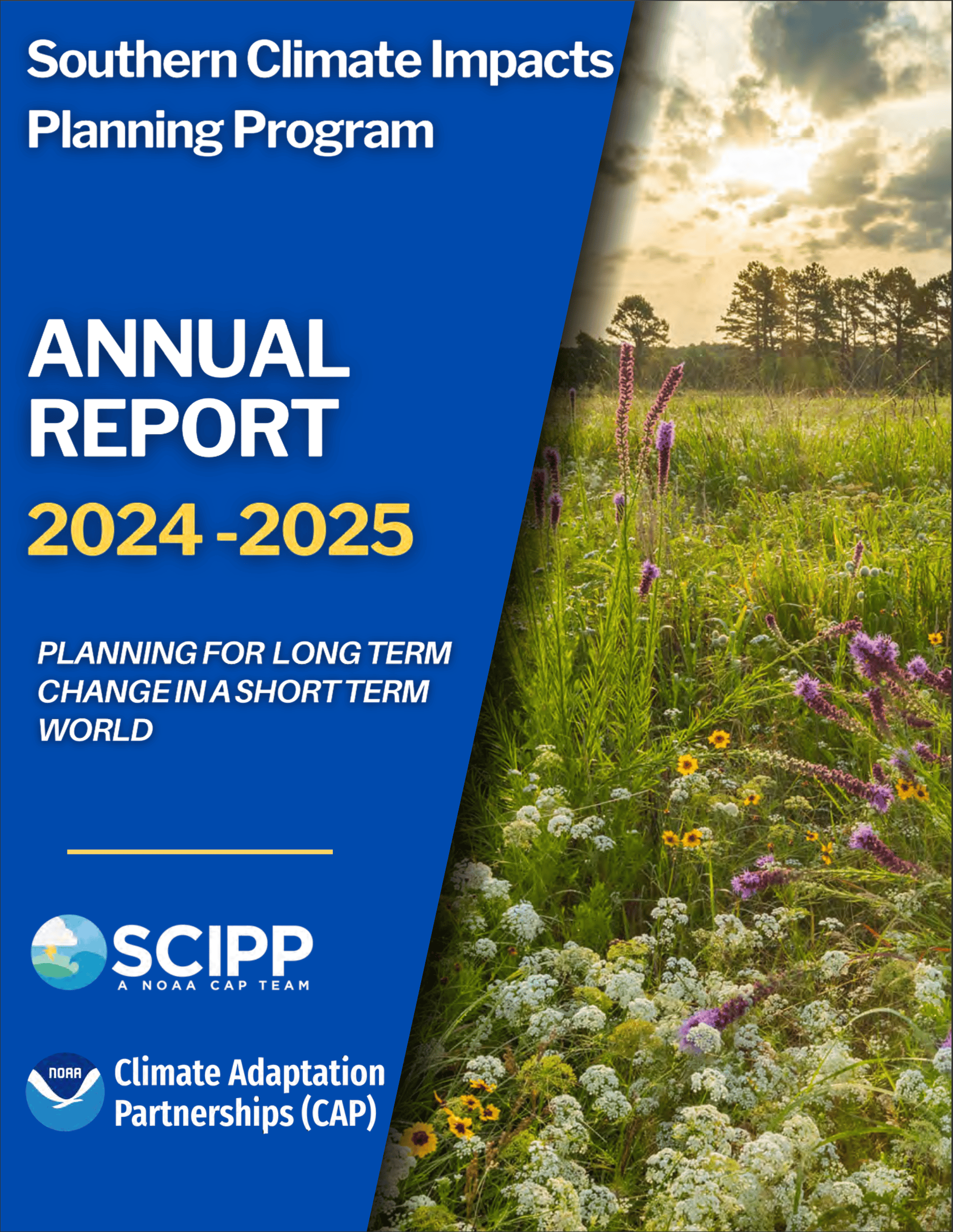 2024-2025 Report - SCIPP